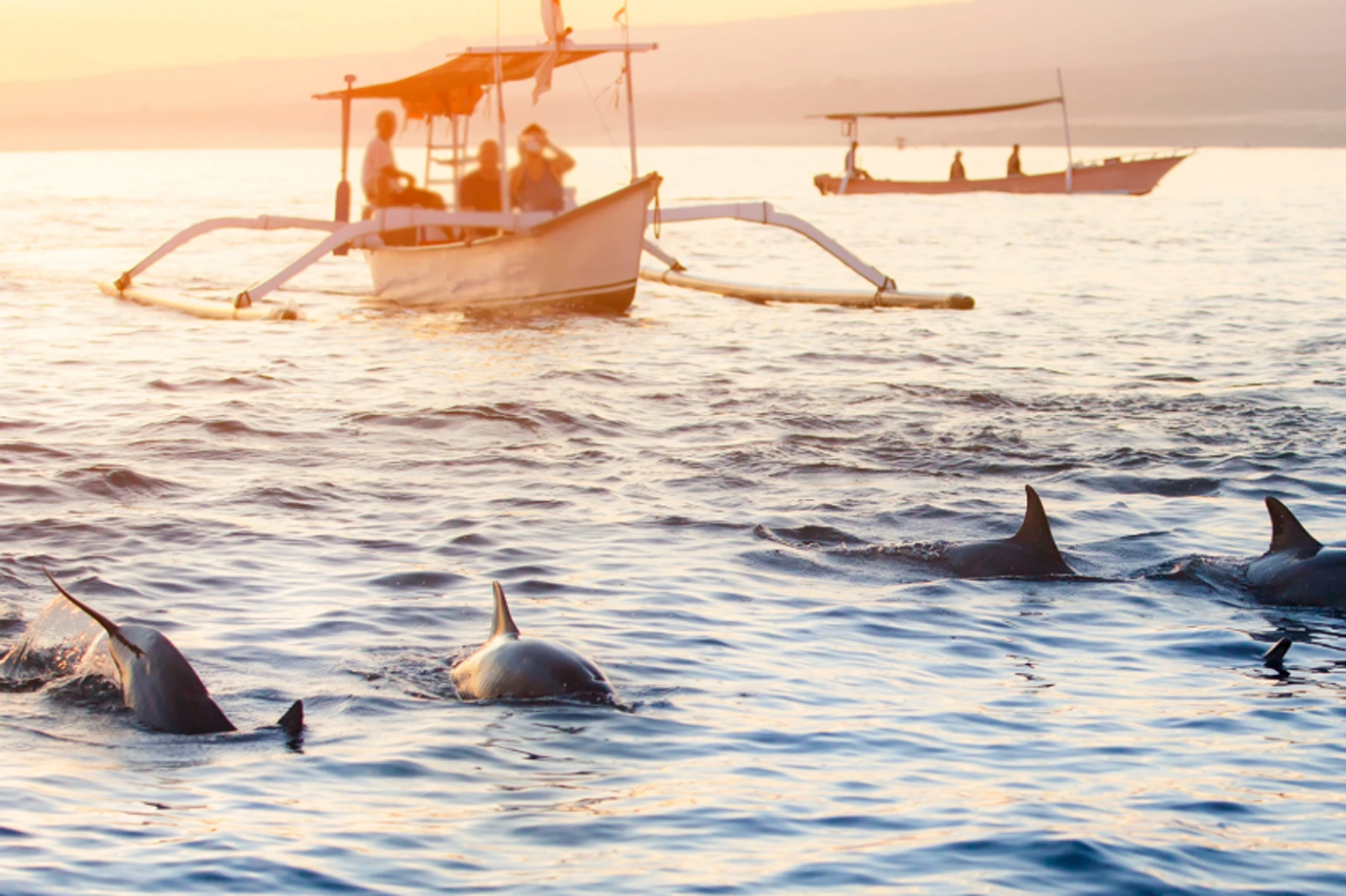 Bali Dolphin Sunrise Tour – Bali Hiking,Trekking with Mount Batur Guide ... Bali Dolphin Sunrise Tour – Bali Hiking,Trekking with Mount Batur Guide ...